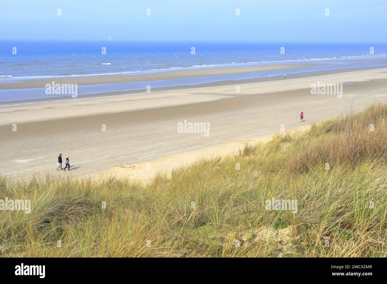 France, Nord, surroundings of Dunkirk, Zuydcoote, walk on the beach ...