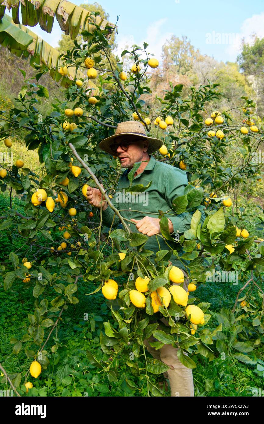 France, Alpes Maritimes, Cote d'Azur, Menton, on the heights of Garavan ...