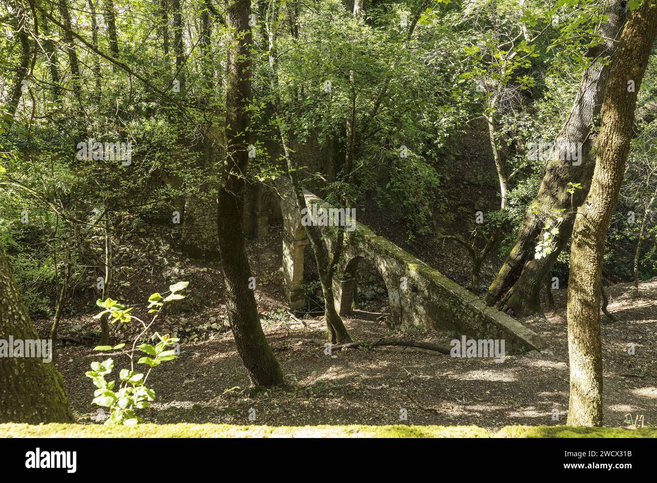 France, Var, Meounes les Montrieux, national forest, near the ...
