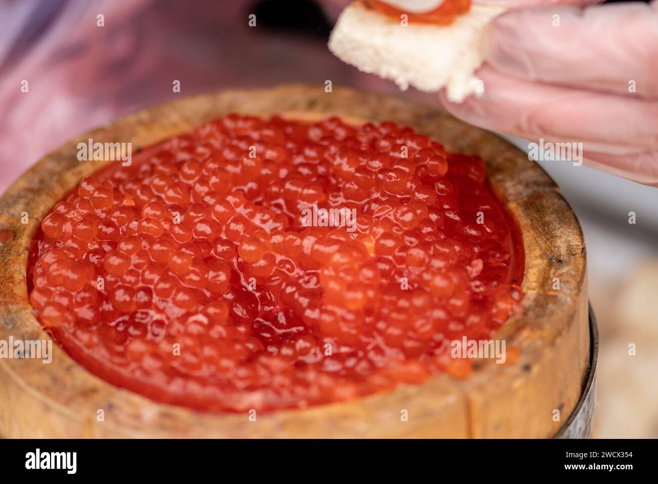 Salmon roe or sturgeon red caviar served in a wooden barrel ready to ...