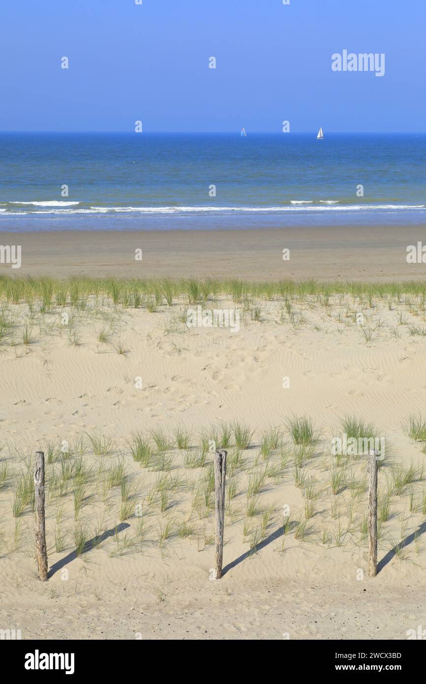France, Nord, Dunkirk, Malo-les-Bains, Digue des Alliés, dunes with ...