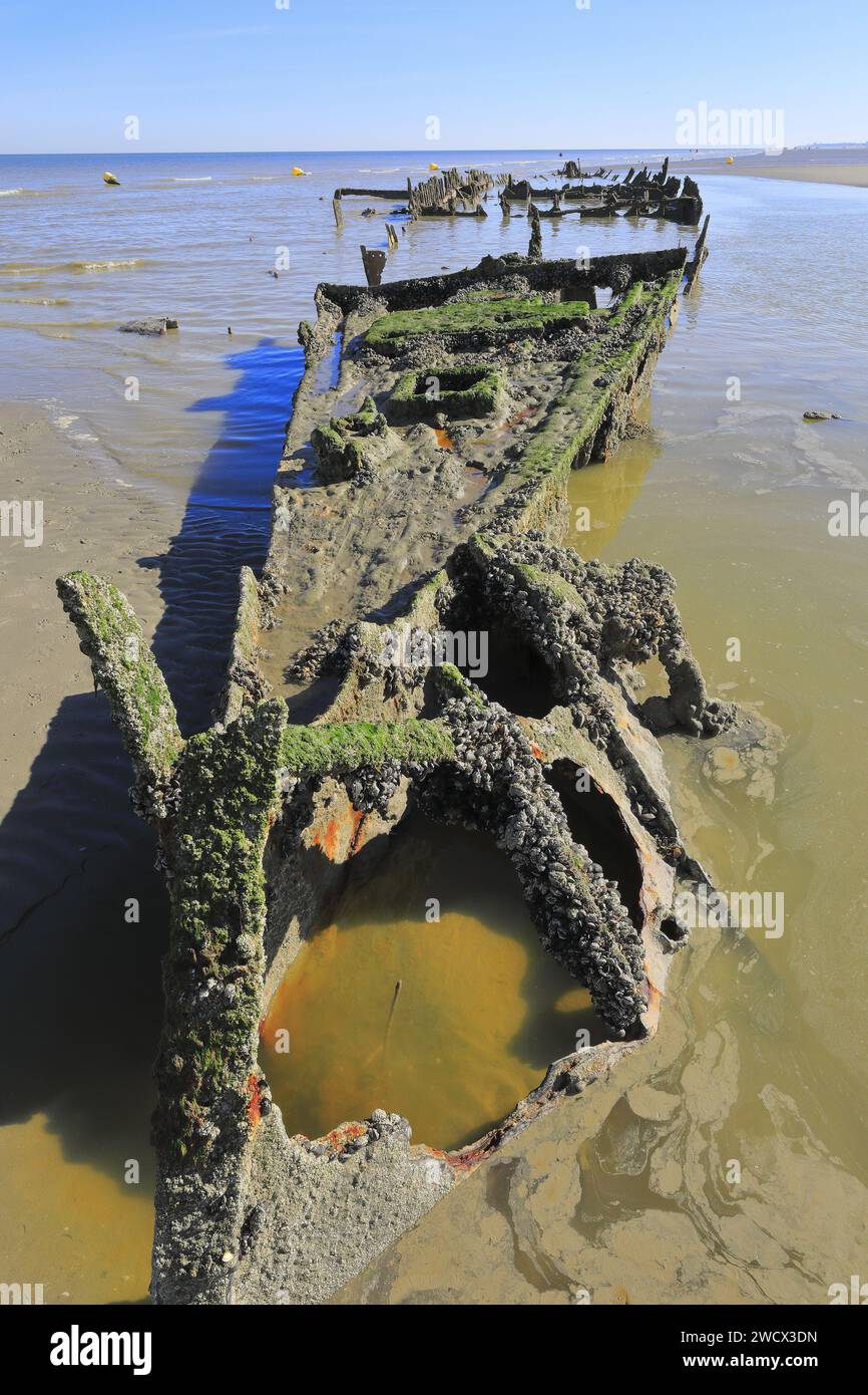 France, Nord, surroundings of Dunkirk, Bray-Dunes, Devonia wreck ...