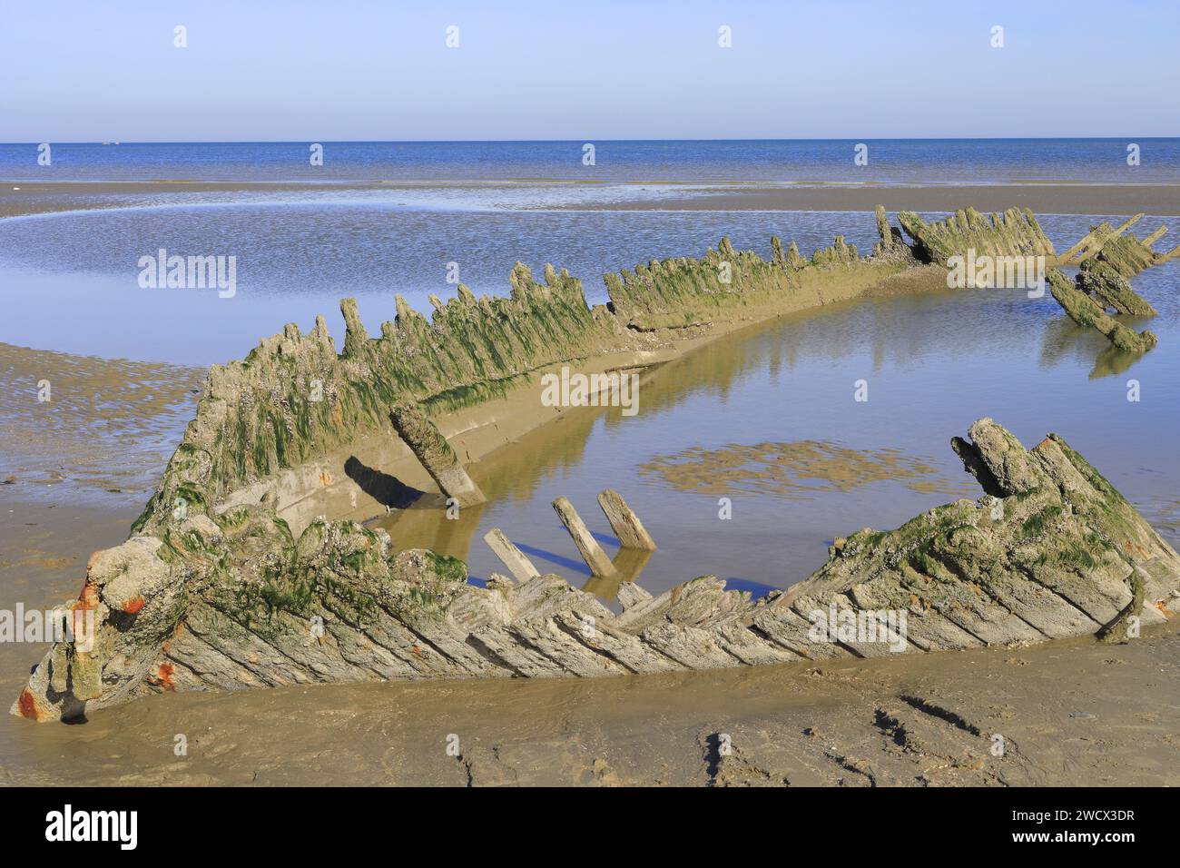 France, Nord, surroundings of Dunkirk, Bray-Dunes, wreck of the ...
