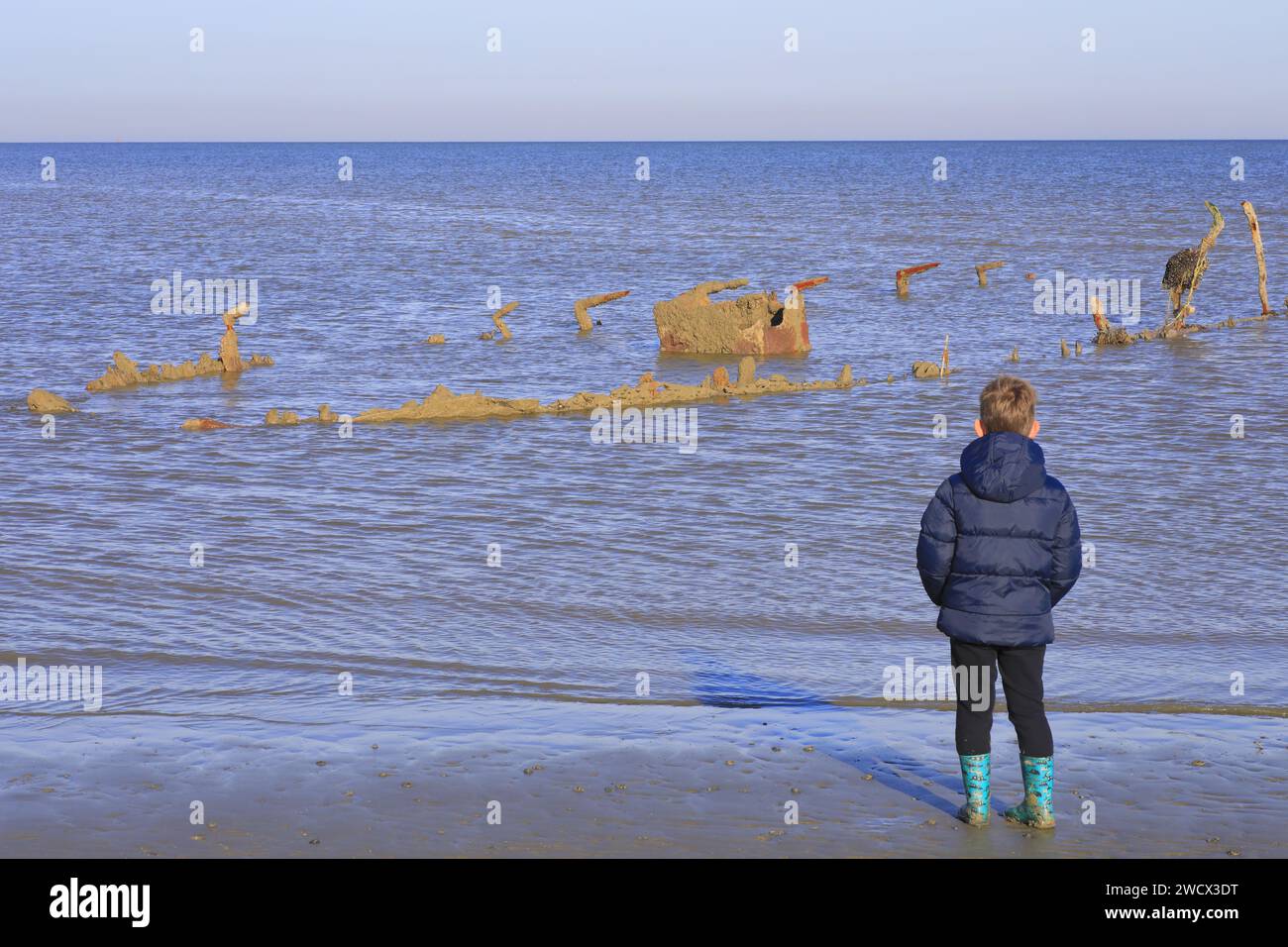 France, Nord, surroundings of Dunkirk, Zuydcoote, wreck of a boat which ...