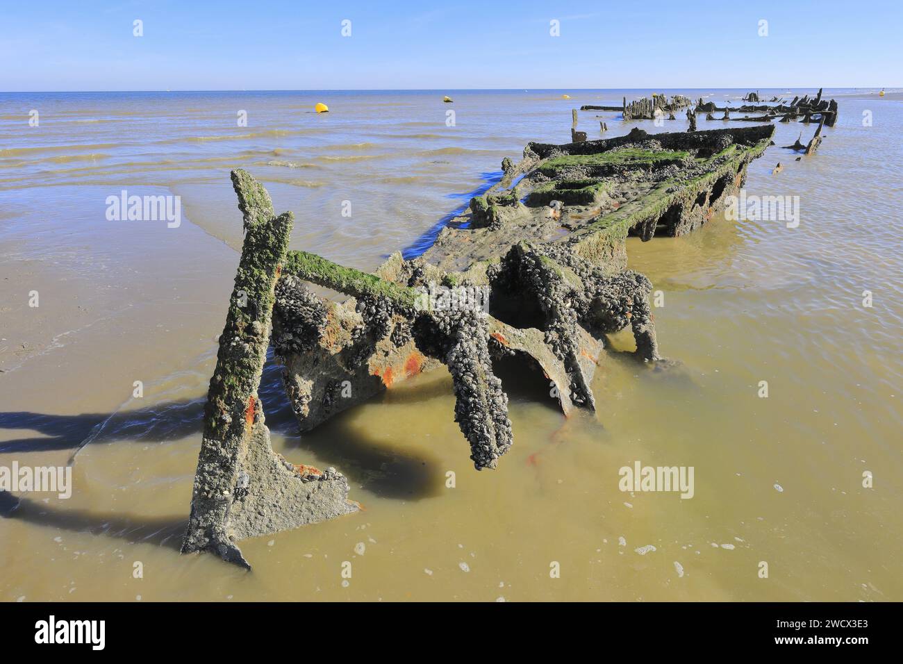 France, Nord, surroundings of Dunkirk, Bray-Dunes, Devonia wreck ...