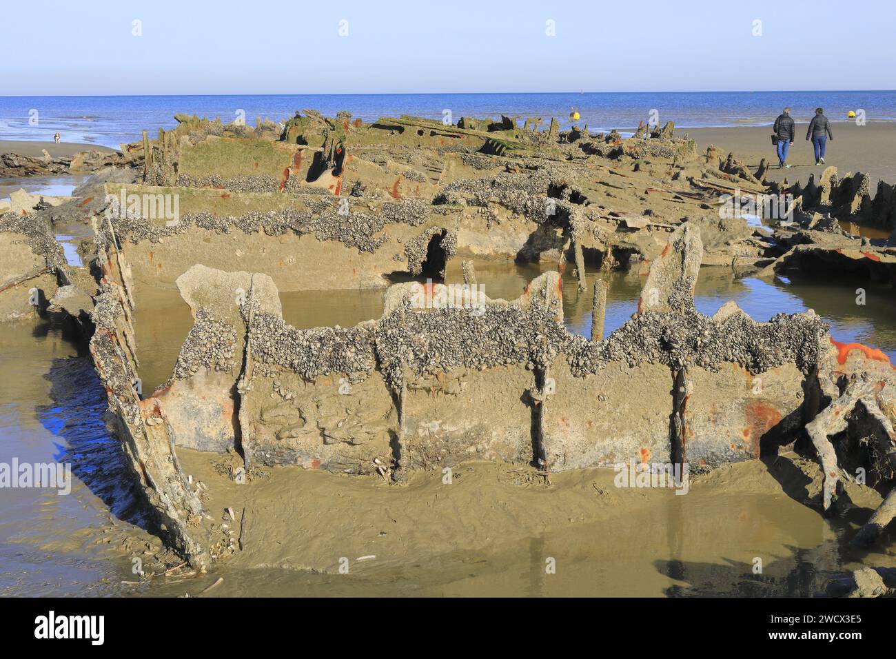 France, Nord, surroundings of Dunkirk, Bray-Dunes, wreck of the Crested Eagle (English steamboat ...