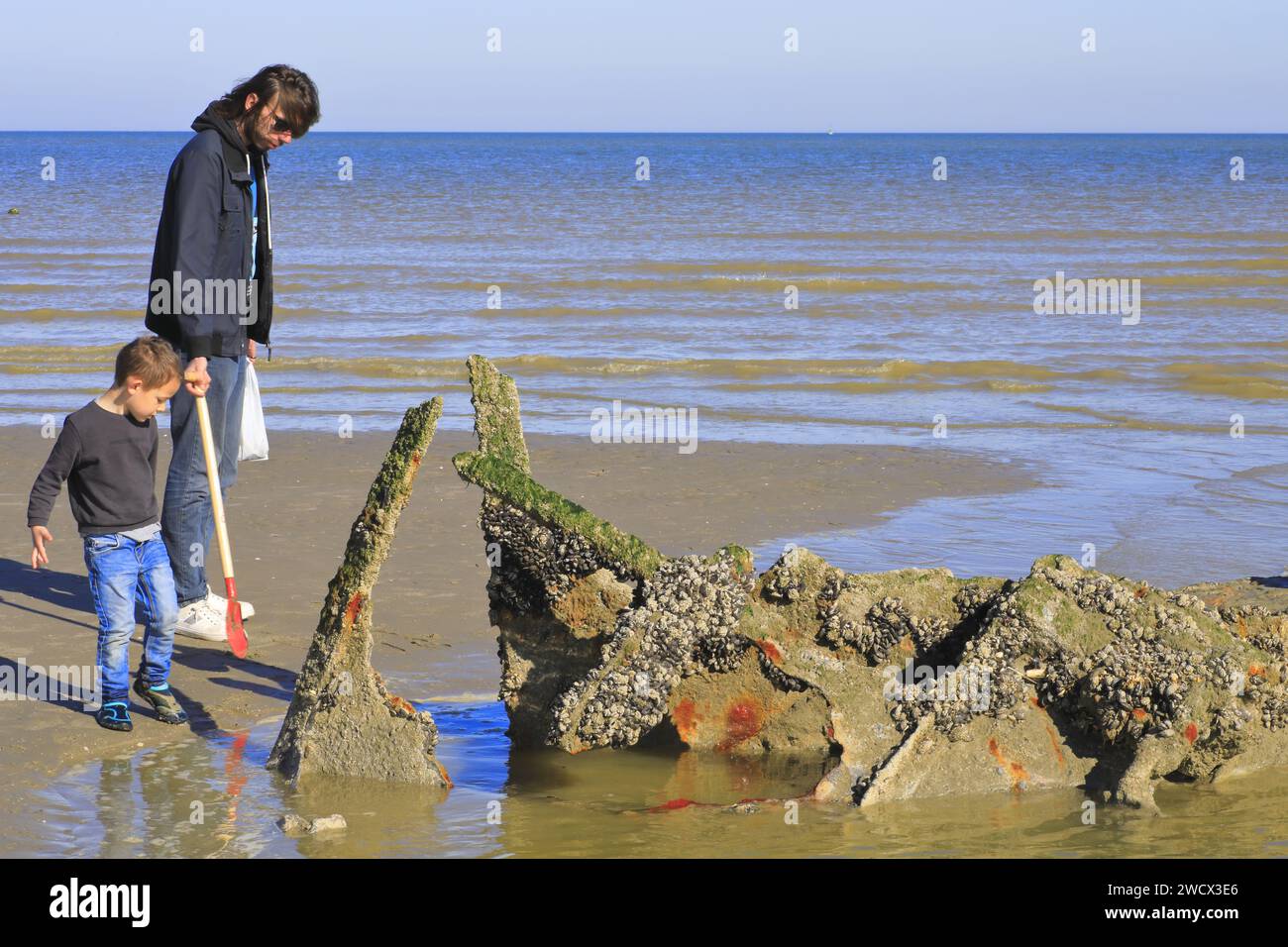 France, Nord, surroundings of Dunkirk, Bray-Dunes, Devonia wreck ...
