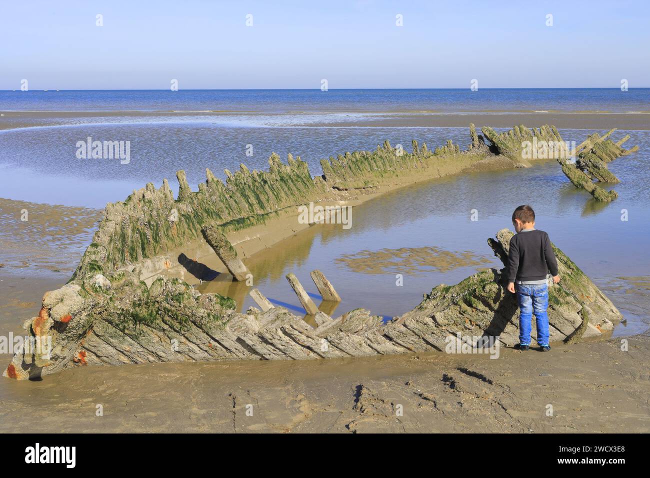 France, Nord, surroundings of Dunkirk, Bray-Dunes, wreck of the ...