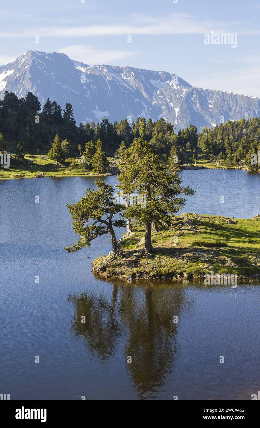France, Isere (38), Belledonne Massif, Lake Achard and its Cembraie, a ...