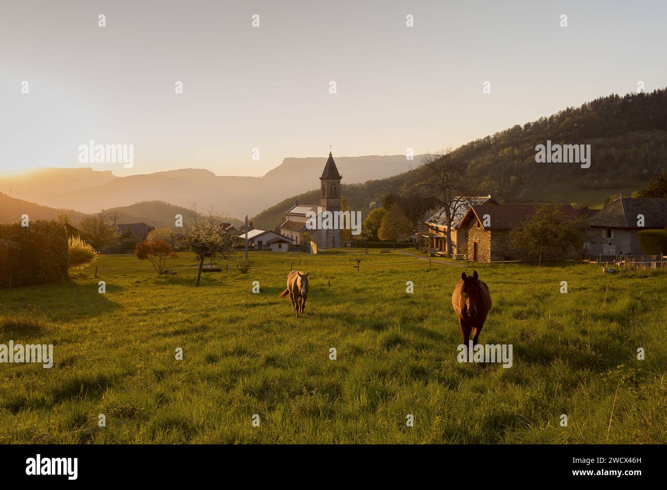 Village revel hi-res stock photography and images - Alamy
