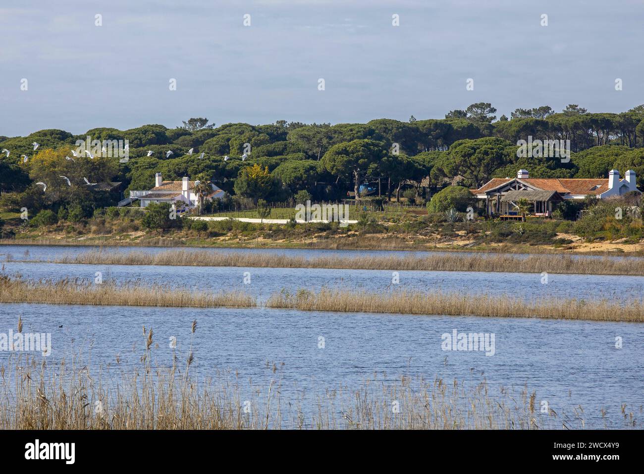 Portugal, Alentejo, Melides, Melides lagoon, refuge for migratory birds ...
