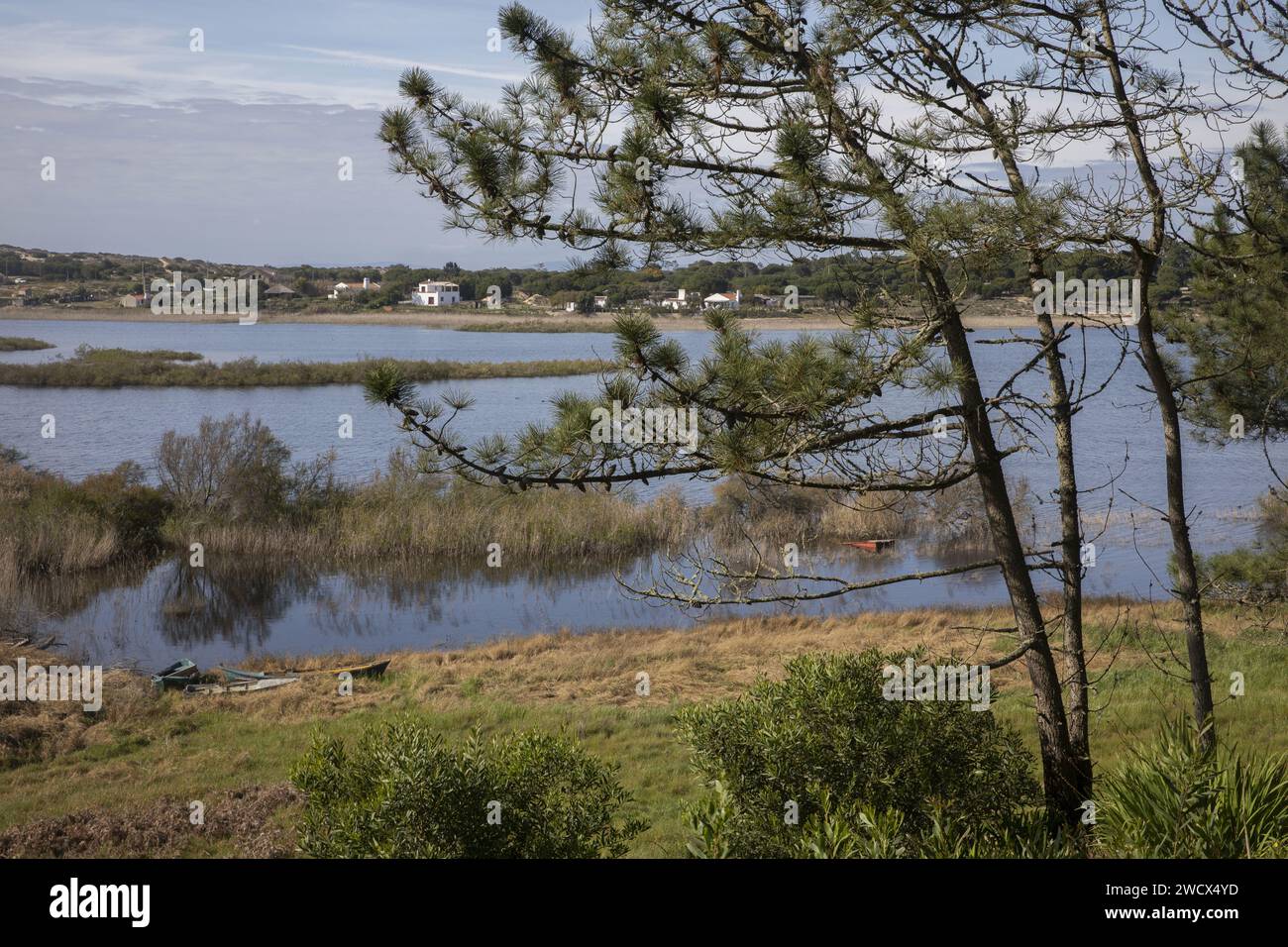Portugal, Alentejo, Melides, Melides lagoon and its green banks planted ...