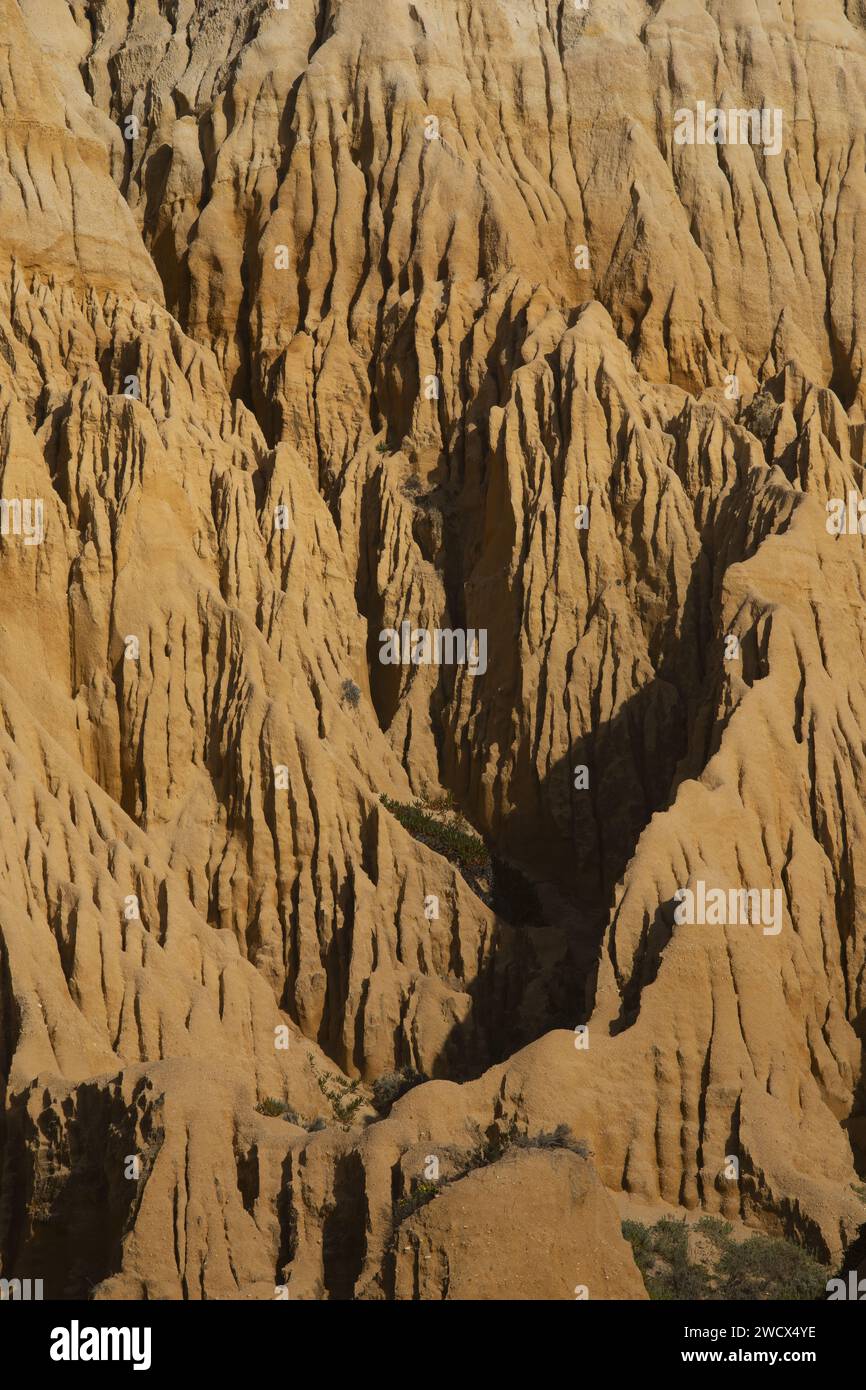 Portugal Alentejo Gale Fontainhas Beach Ocher Fossil Cliffs Five