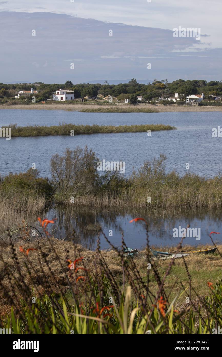 Portugal, Alentejo, Melides, Melides lagoon and its green banks planted ...