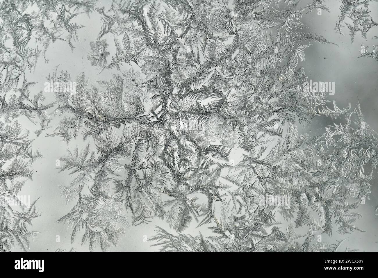 Frost architecture hi-res stock photography and images - Alamy