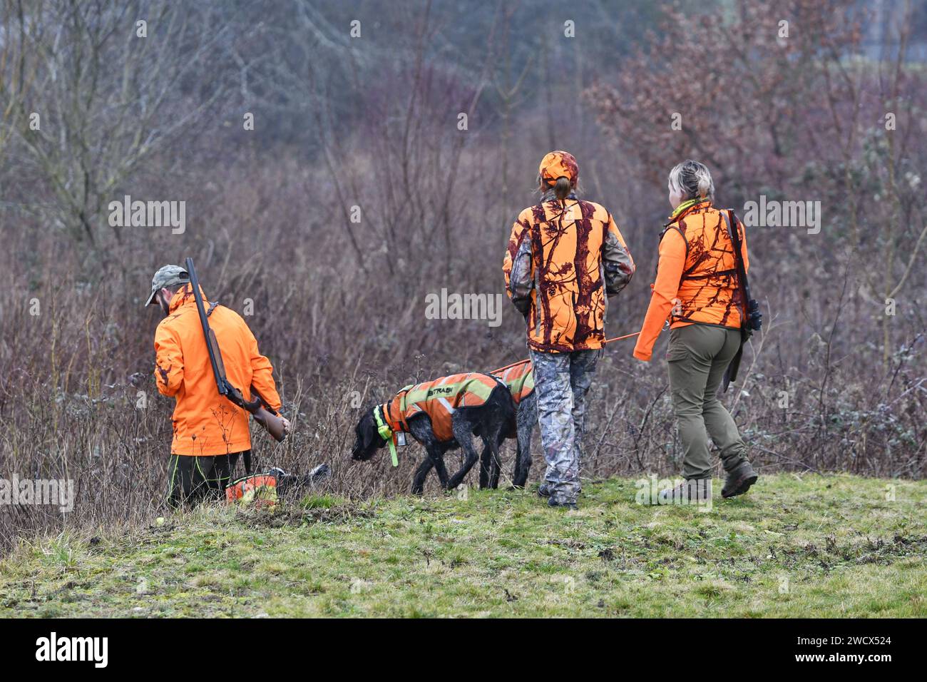 Boar hunt hi-res stock photography and images - Alamy