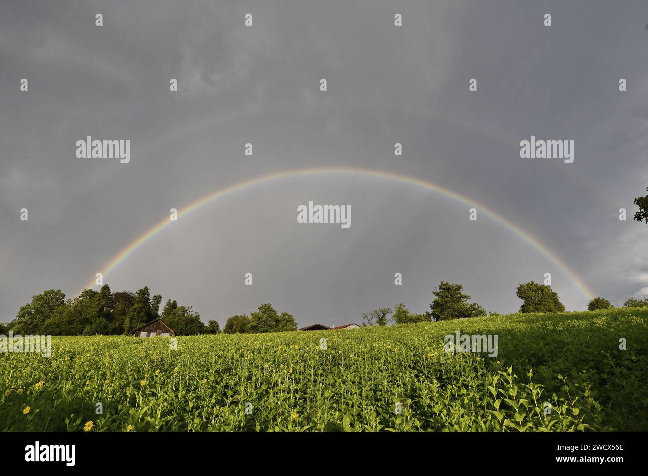 Countryside rainbow hi-res stock photography and images - Alamy