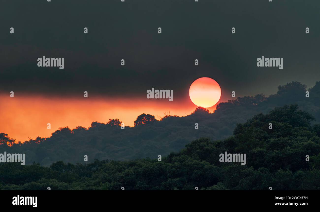 As temperatures rise to over 45 degrees C in Central Portugal, the glow ...