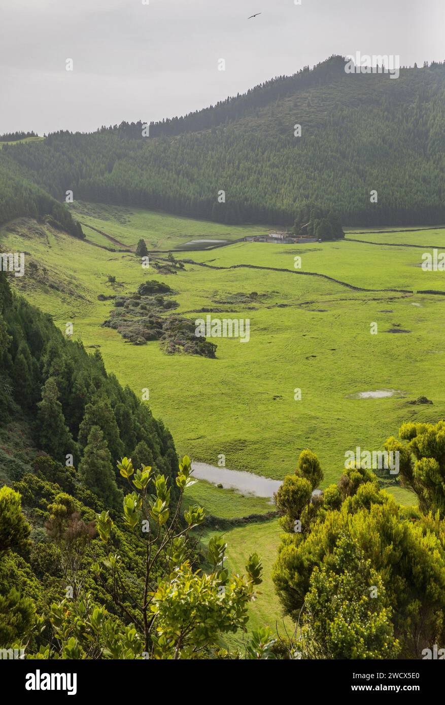 Portugal, Azores archipelago, Terceira island, Guiherme Moniz caldera ...