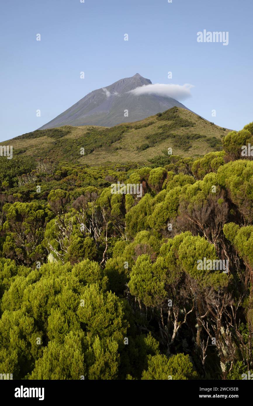 Portugal, Azores archipelago, Pico island, Pico volcano and its slopes ...