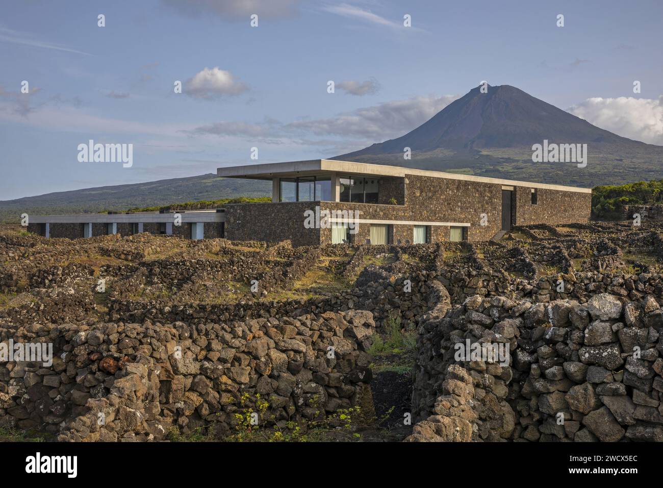 Portugal, Azores archipelago, Pico island, Azores wine company, the ...