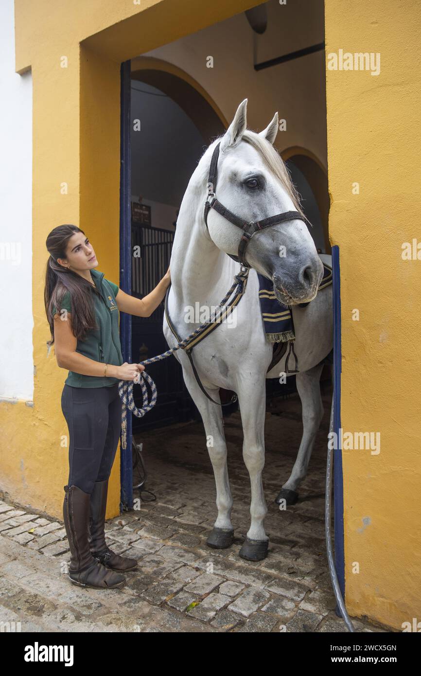 Woman riding andalusian horse hi-res stock photography and images - Alamy