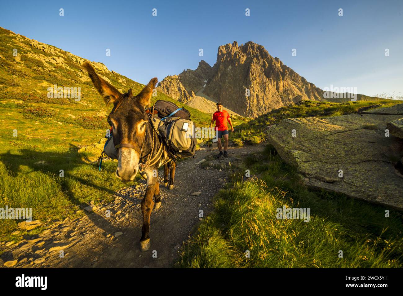 France, Pyrenees Atlantiques, Béarn, Ossau valley, Pyrenees National ...