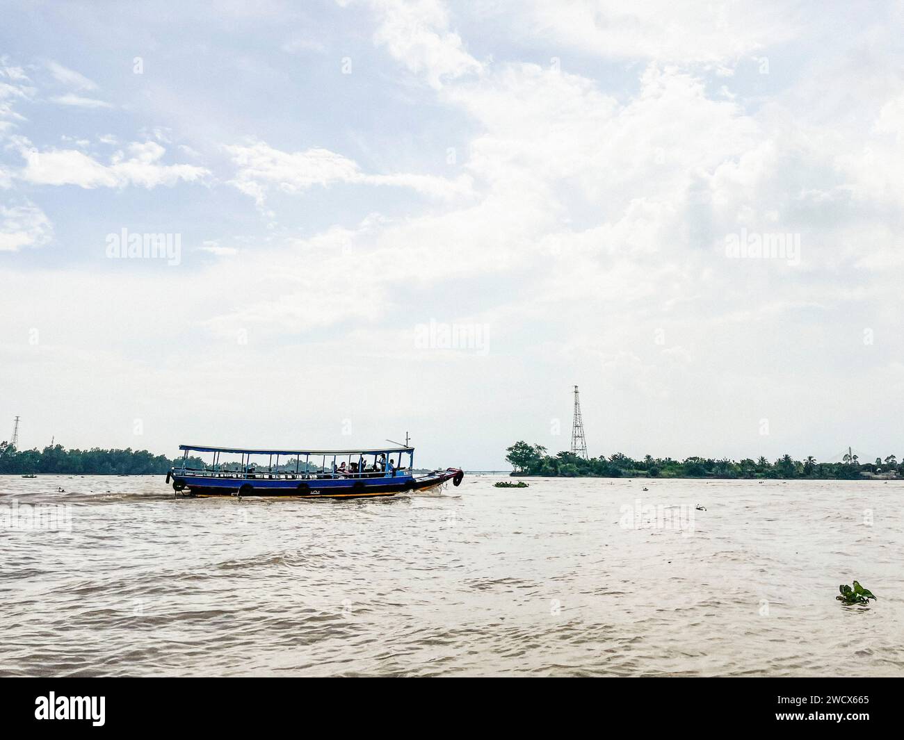 Vietnam, Mekong delta, landscape Stock Photo - Alamy