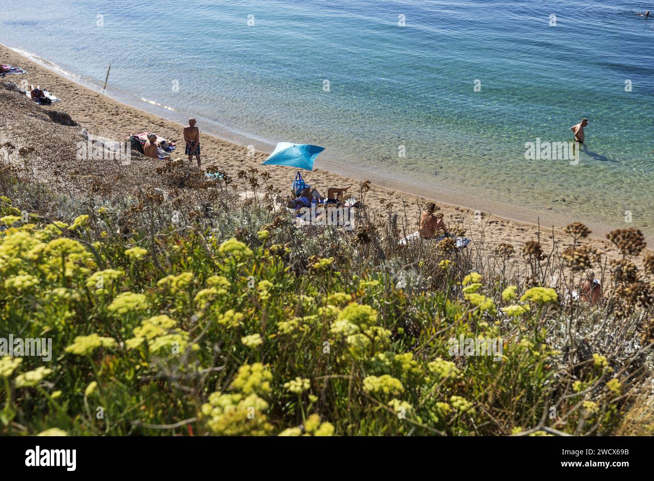 France, Var, Six Fours les Plages, Coudouliere beach Stock Photo - Alamy