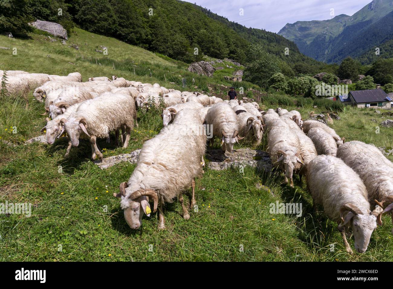 France, Pyrenees Atlantiques, Béarn, Ossau valley, Laruns, Pont de ...