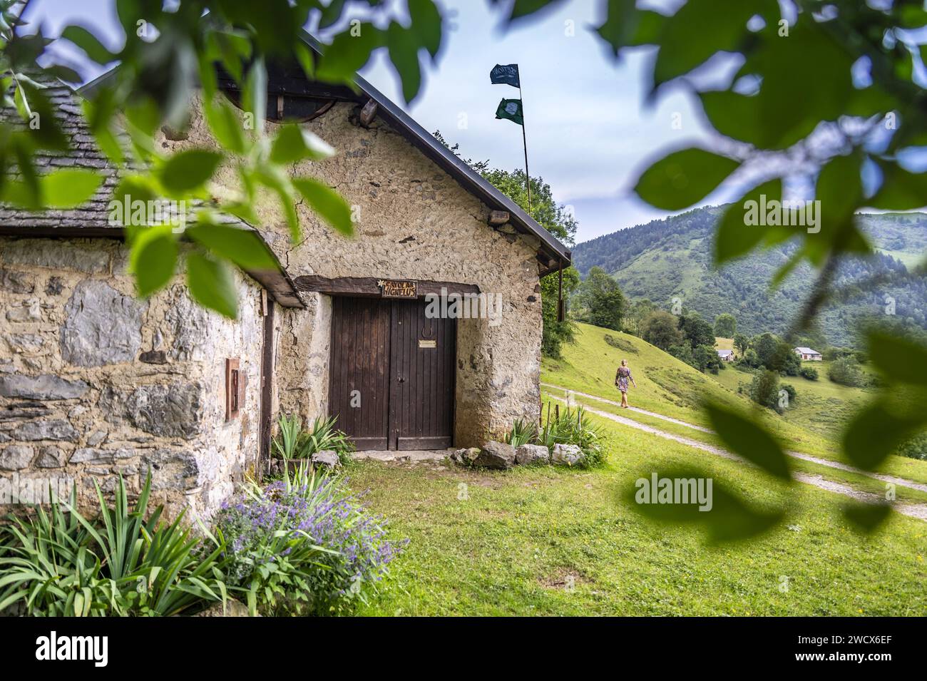 France, Pyrenees Atlantiques, Béarn, Ossau valley, Benou plateau ...