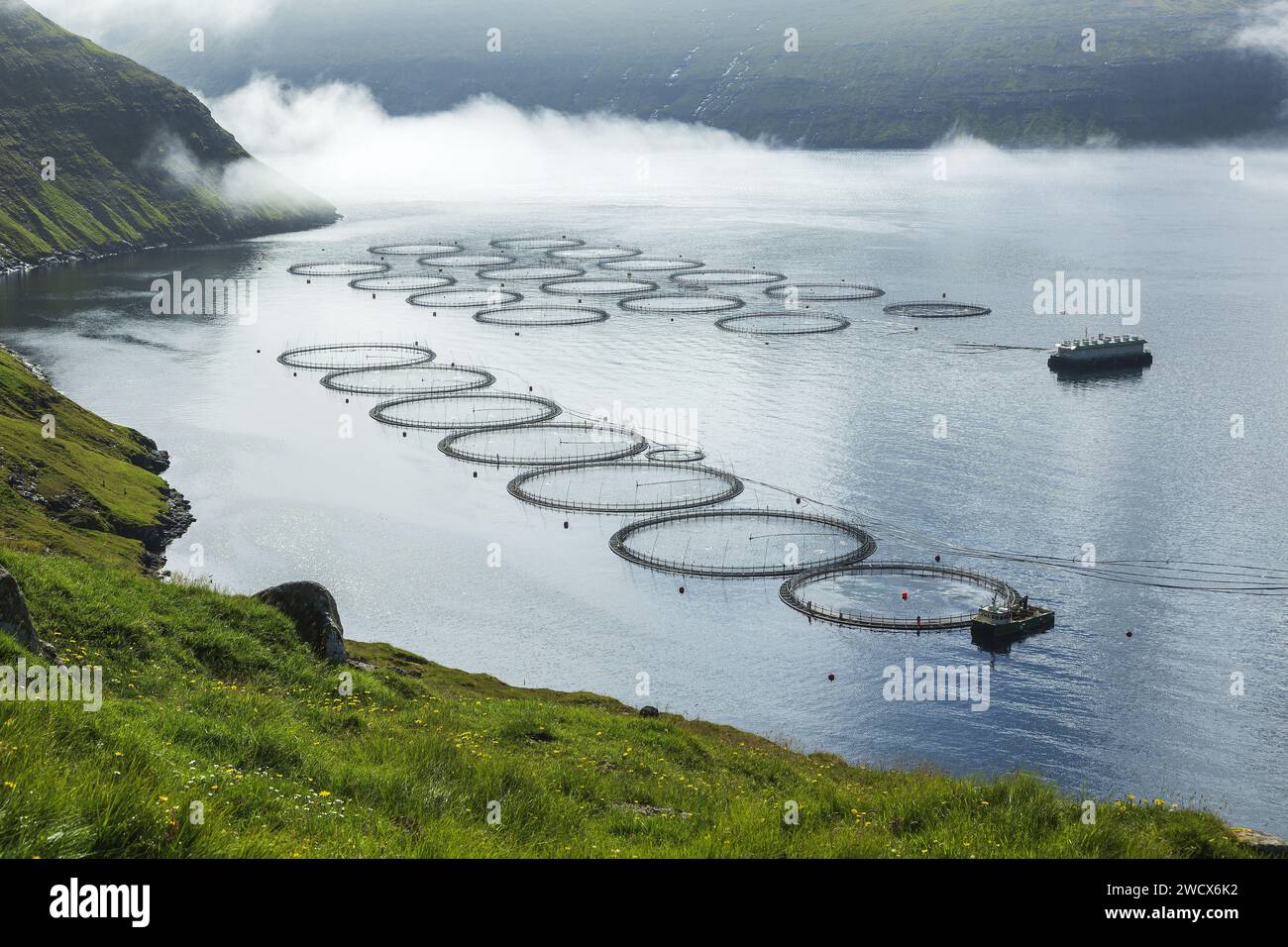 Denmark, Faroe Islands, Streymoy island, Vestmanna, aquaculture farm ...