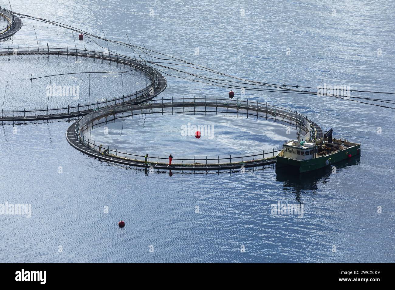 Aquaculture fish farm hi-res stock photography and images - Alamy