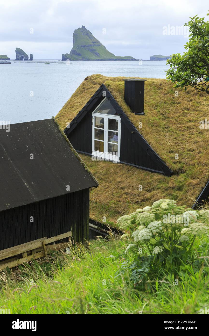 Denmark, Faroe Islands, island of Vagar, Bour, traditional house in the ...