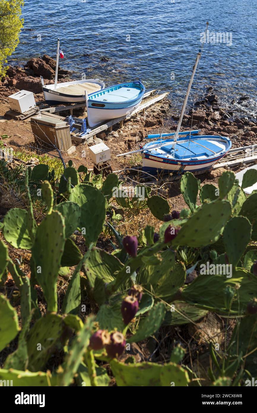 France, Var, La Seyne sur Mer, Fabregas beach, Pointus Stock Photo - Alamy