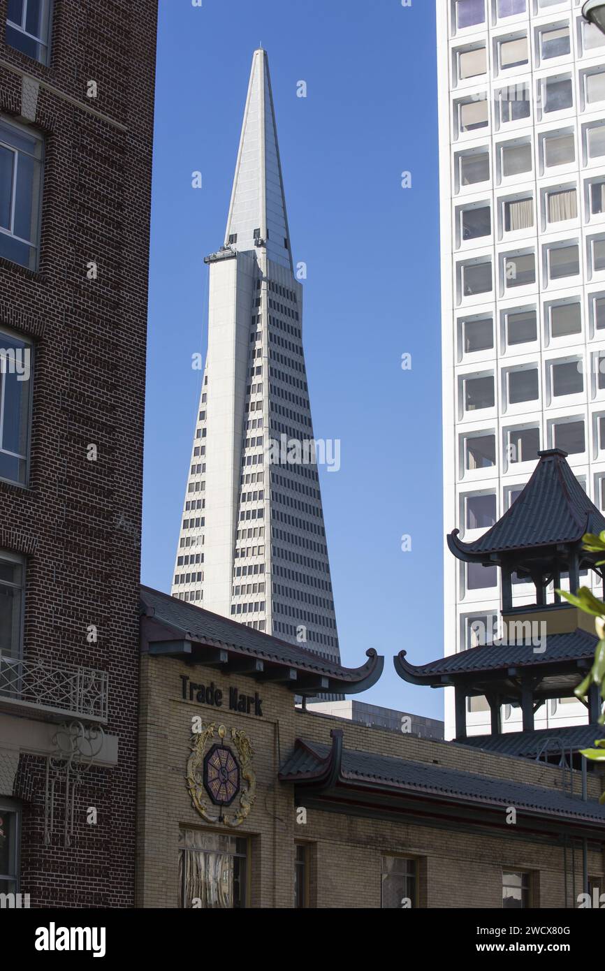 United States, California, San Francisco, Chinatown and Trans-America ...