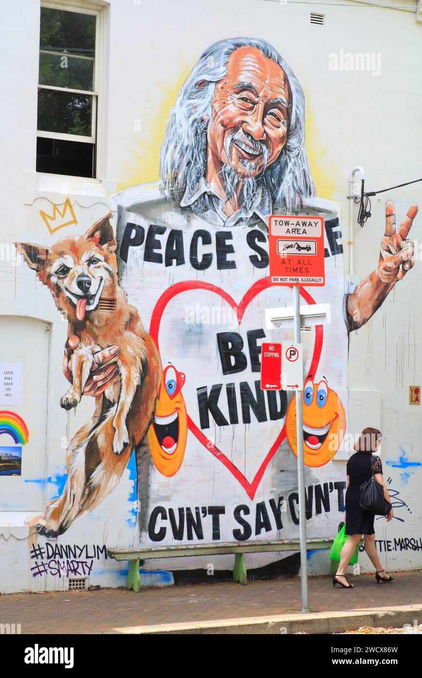 Australia, New South Wales, Sydney, Chippendale district, street art ...