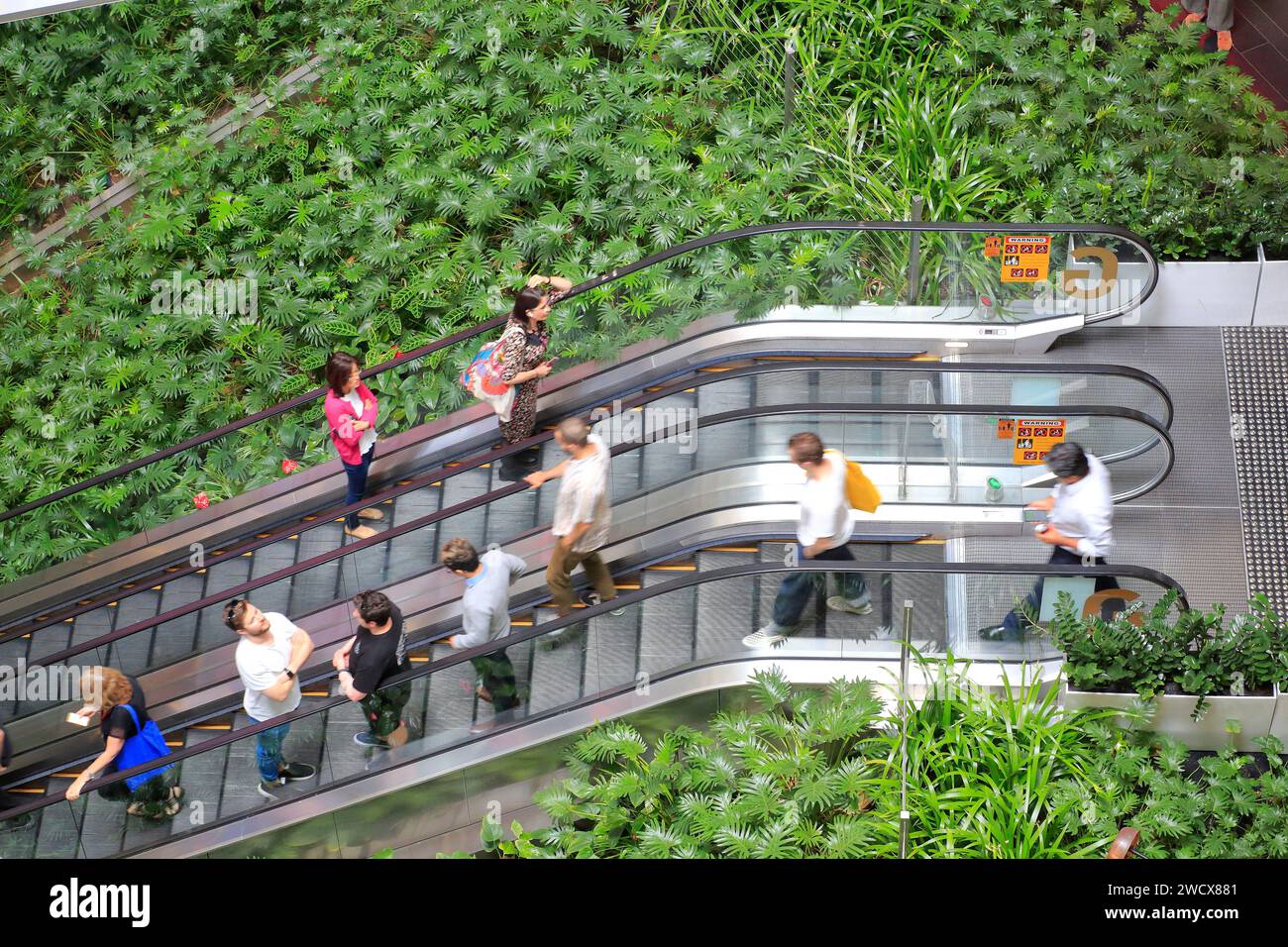 Australia, New South Wales, Sydney, Chippendale district, Central Park ...