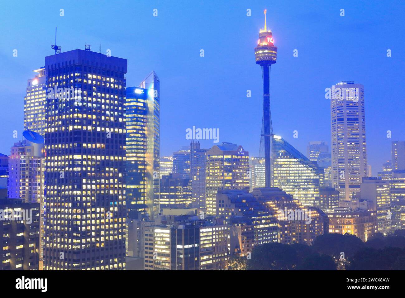 Australia, New South Wales, Sydney, Central Business District (CBD ...