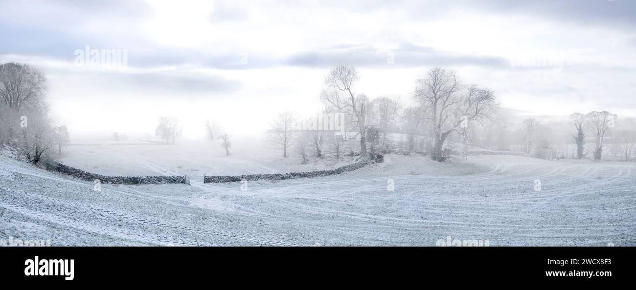 Misty wintery conditions in the Ribble Valley, Lancashire, UK Stock ...