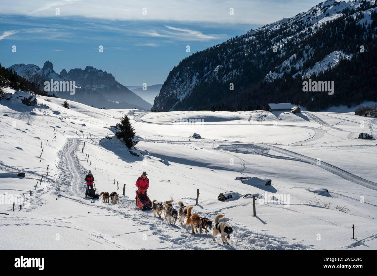 Du cruet hi-res stock photography and images - Alamy