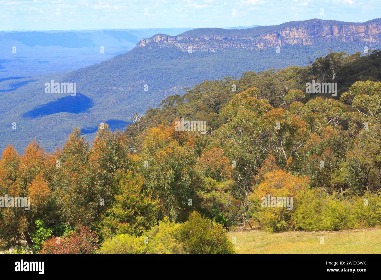 Australia, New South Wales, Blue Mountains listed as World Heritage by ...