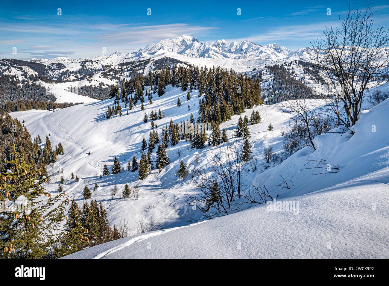 Plan arriere blanc hi-res stock photography and images - Alamy