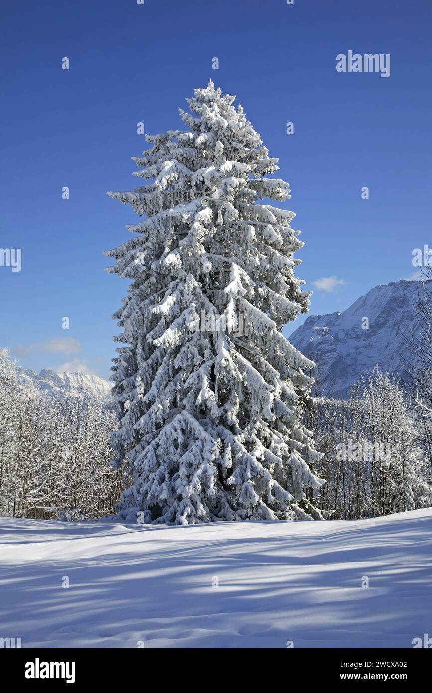 Eckbauer mountain near Garmisch-Partenkirchen. Germany Stock Photo - Alamy