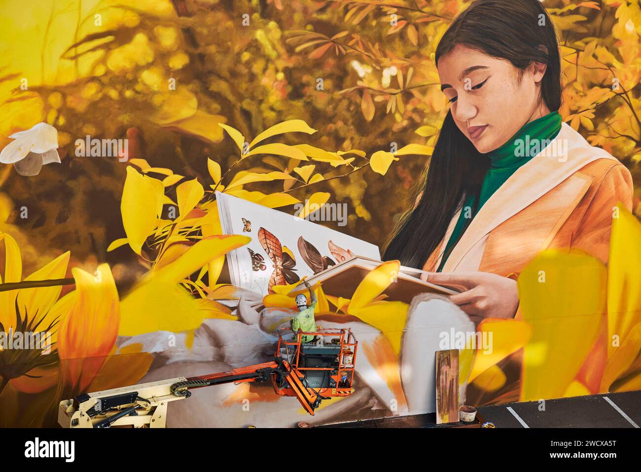 France, Moselle, Metz, the street artist Mantra on an aerial platform ...