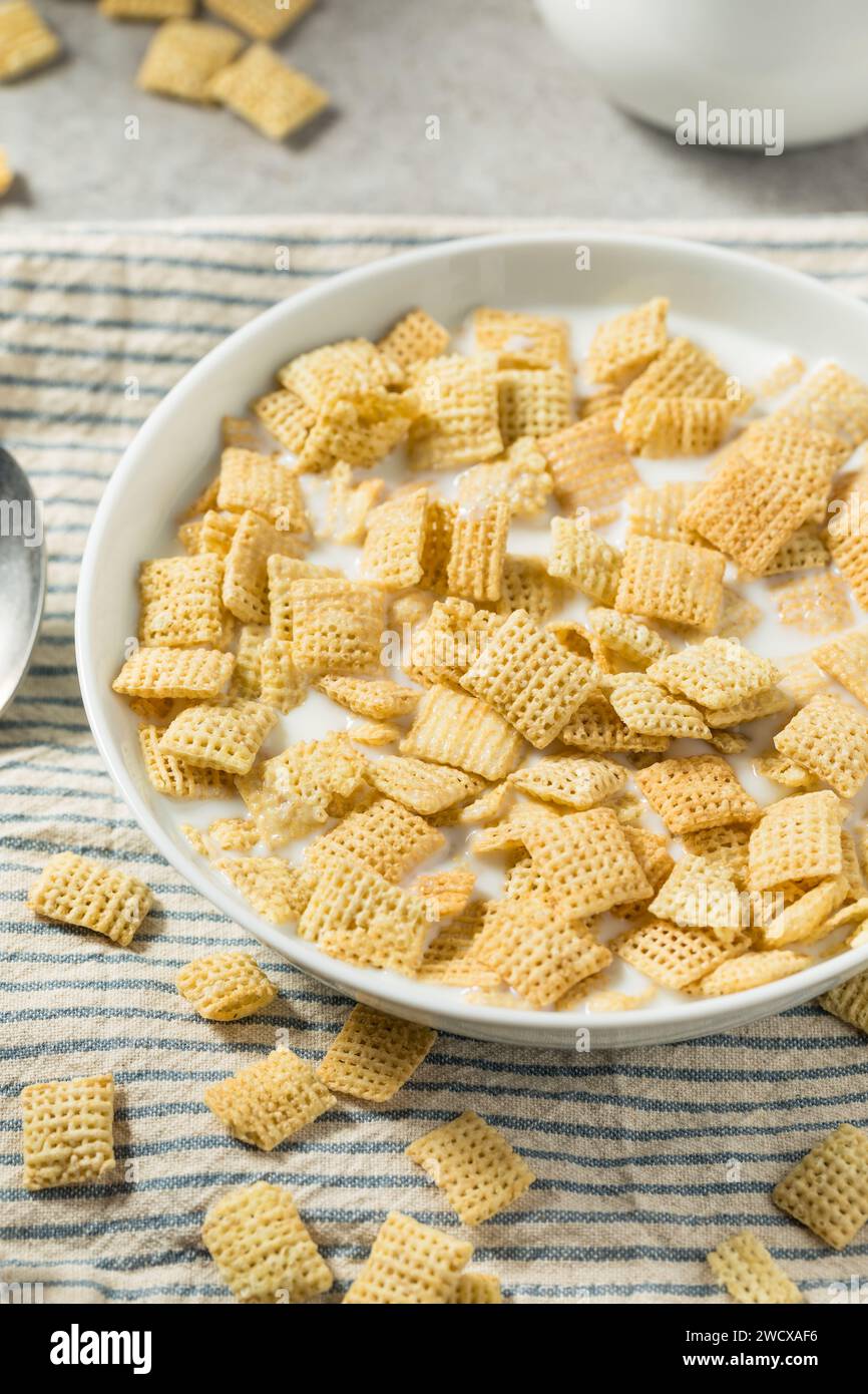 Healthy Organic Rice Squares Breakfast Cereal with Whole Milk Stock ...