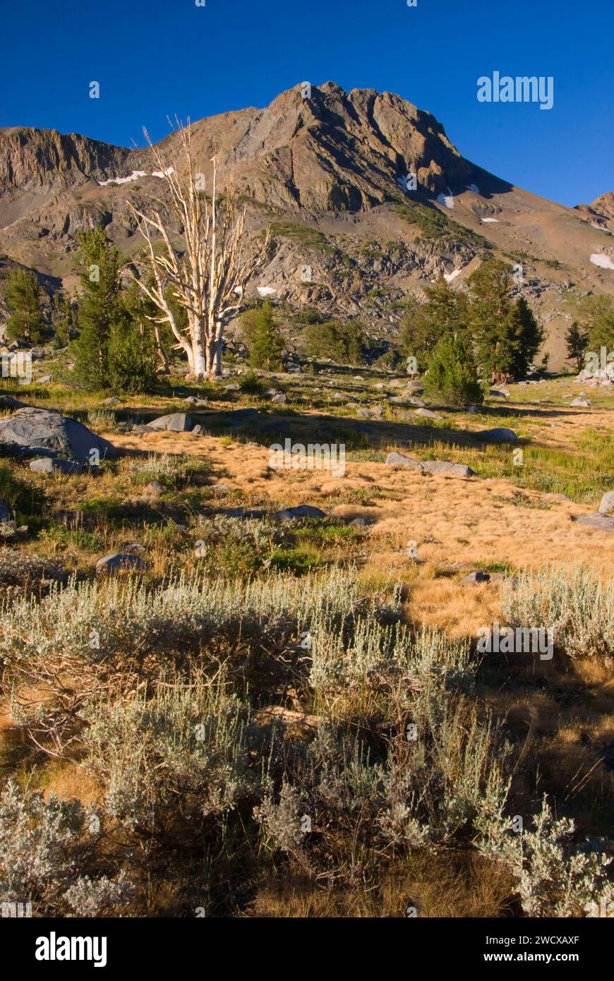 Round top california hi-res stock photography and images - Alamy