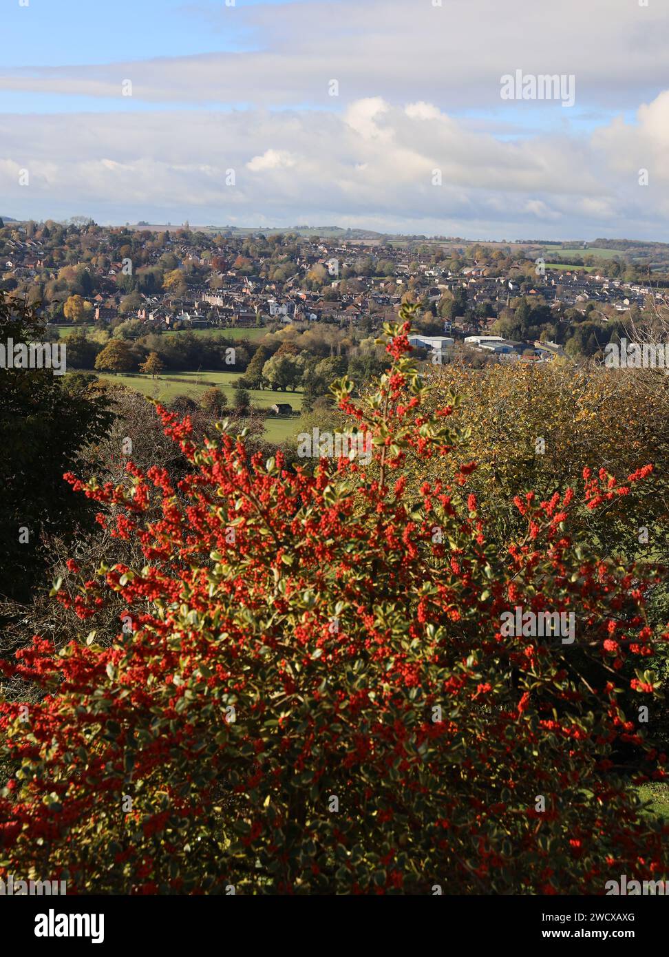 Golden valley herefordshire winter hi-res stock photography and images ...