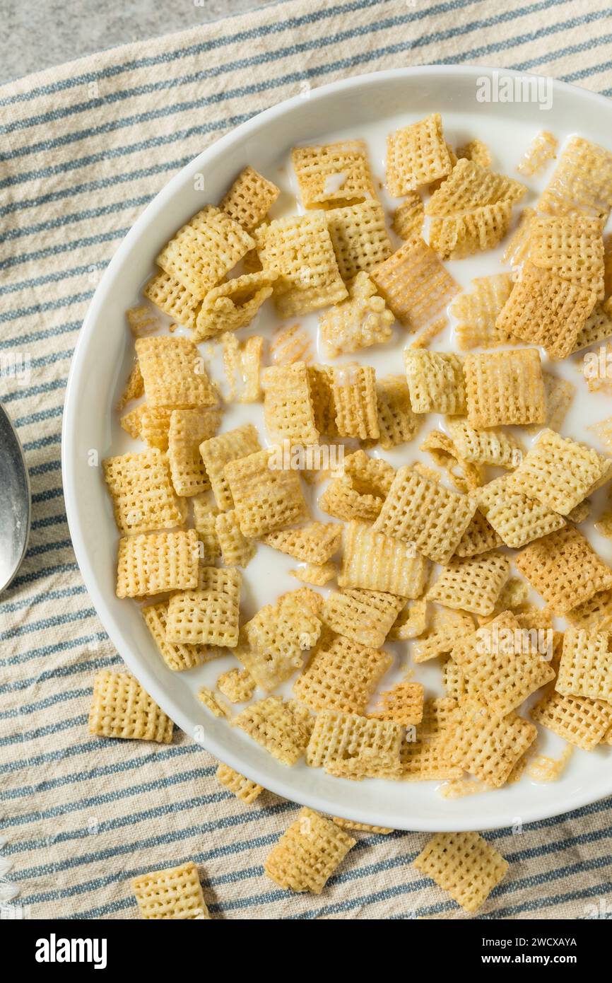 Healthy Organic Rice Squares Breakfast Cereal with Whole Milk Stock ...