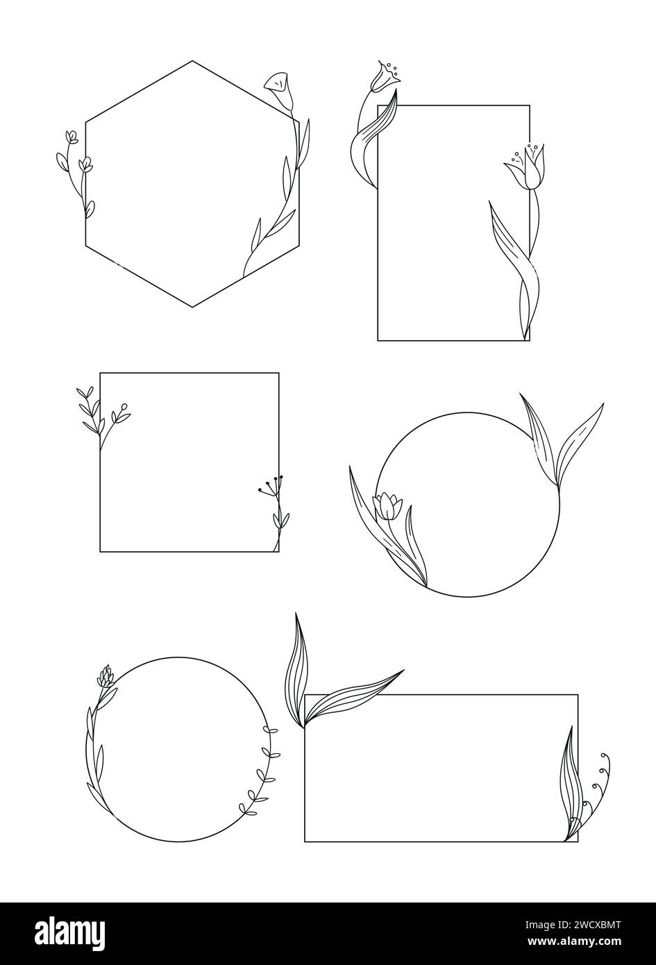 Set of elegant templates with hand drawn botanical elements. Different ...